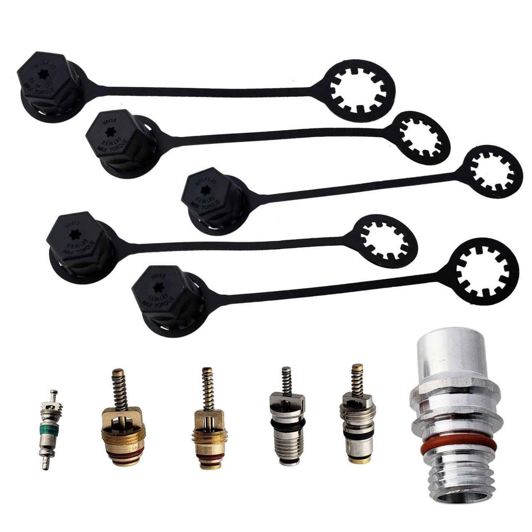 A/C Valve Cores and Caps | Essential Components – Buy Auto Supply