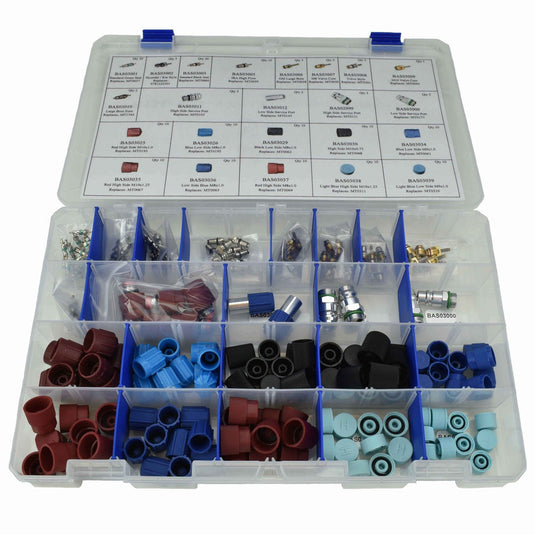 A/C Valve Cores and Caps | Essential Components – Buy Auto Supply